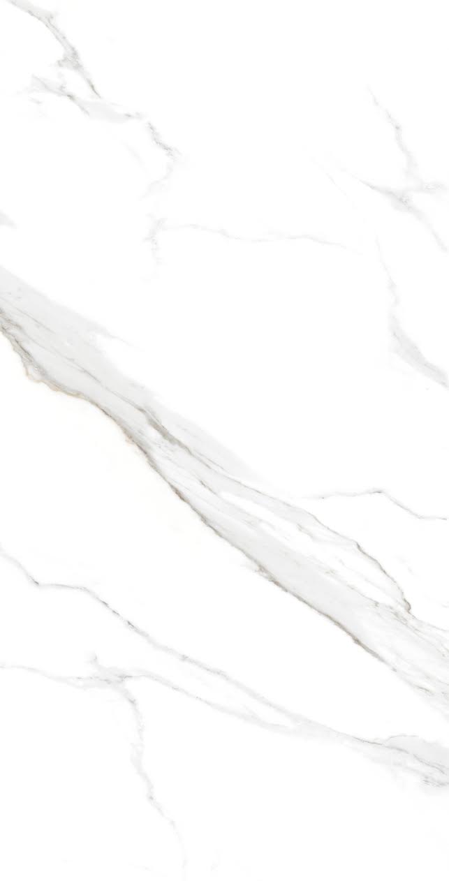 ARIC WHITE GLOSSY 24x48 SHIVAM